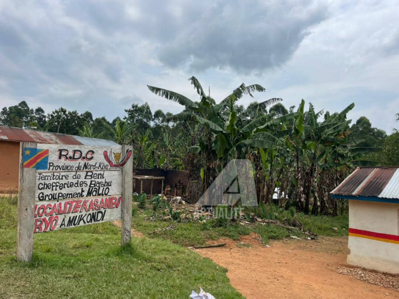 Tuerie de 40 civils dans deux villages à Beni: Lubaya critique l ... Tuerie de 40 civils dans deux villages à Beni: Lubaya critique l ...